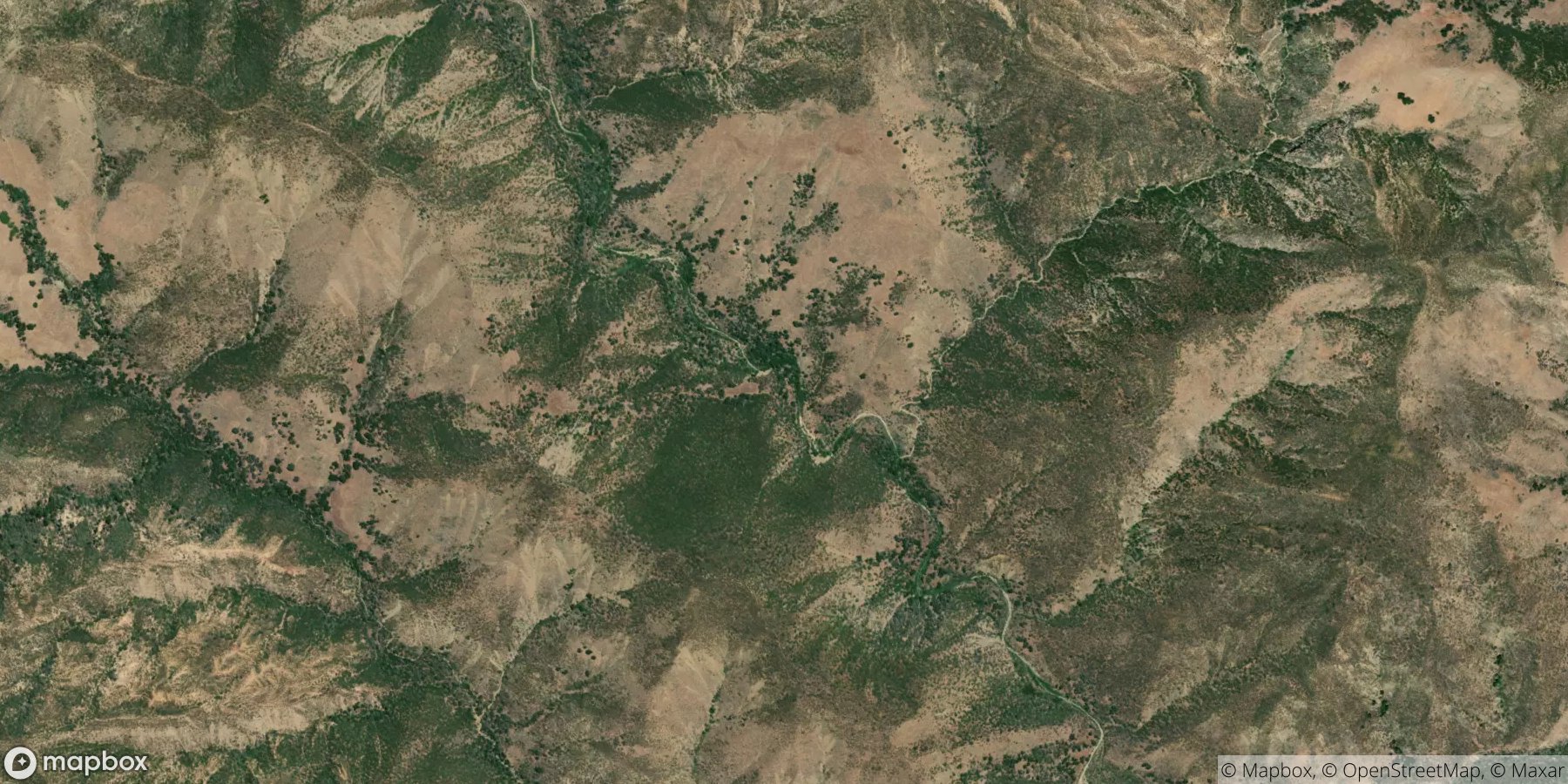 Lower Alamar Camp : Southern Los Padres